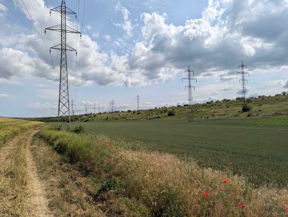 Teren extravilan 3.00 Ha langa Gara de marfuri - Tulcea Tulcea • OLX.ro