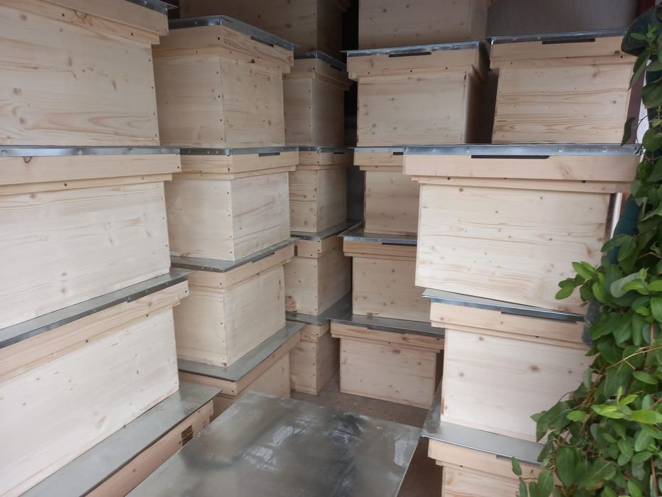 Stupi albine, stupi verticali, stupi orizontali, stupi pavilion,nuclee ...