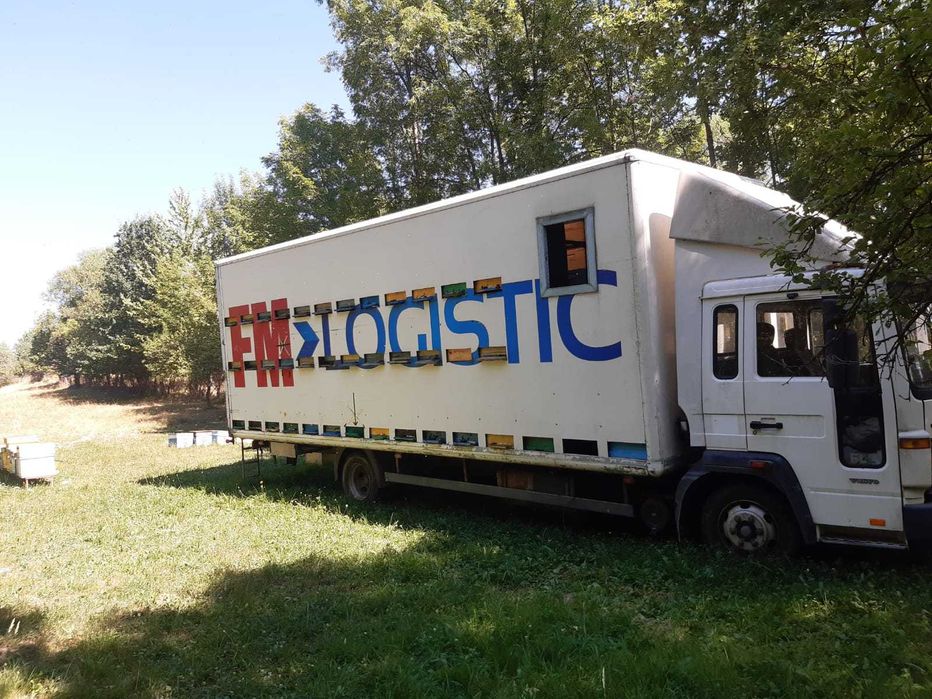Camion omologat apicol Ladesti • OLX.ro