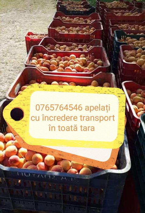 Caise pentru țuică și palincă Livada • OLX.ro