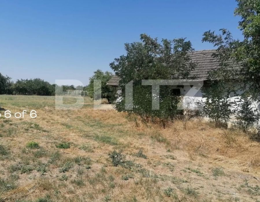 Vând casă cu gradină în Com. Șimand, Jud. Arad Simand • OLX.ro