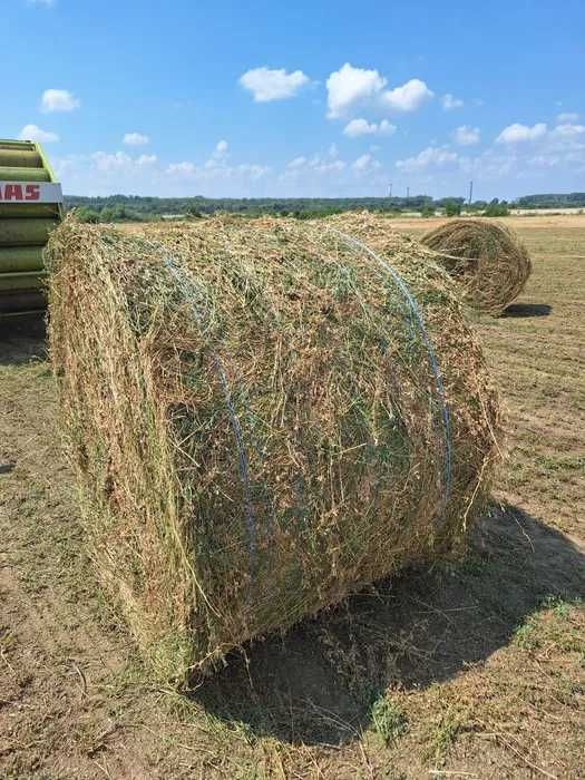 baloti lucerna de vanzare ' Anunturi ' OLX.ro