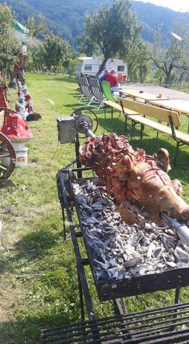 Protap rotisor electric 12/220V din inox nou purcei miei berbecut oaie ...