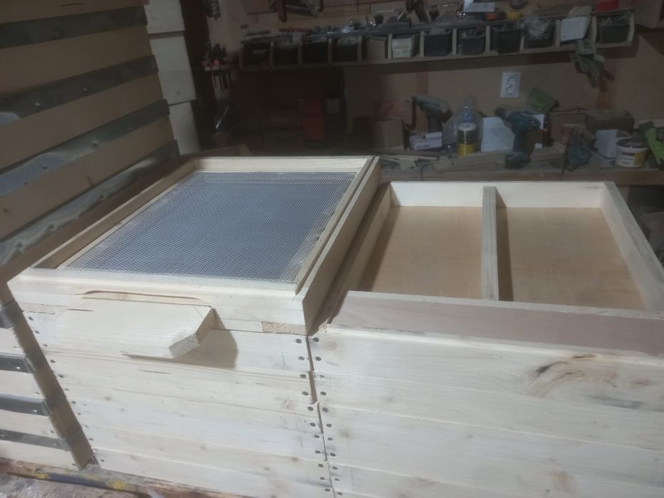 Stupi albine, stupi verticali, stupi orizontali, roinite! Botosani • OLX.ro