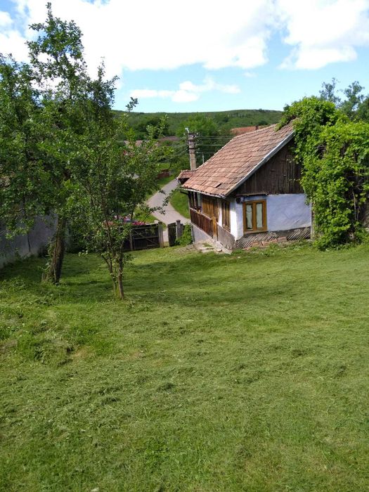 Vand casa cu teren la tara, intr-o zona deosebita Bica • OLX.ro