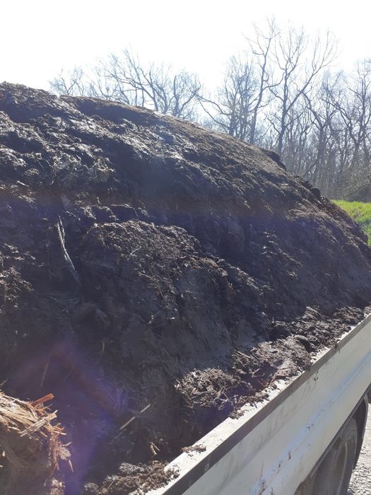 Mranita de origine animala,,compost vegetal Arad • OLX.ro