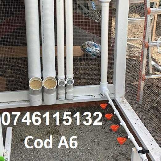 Gaini prepelițe porumbei rate gâște fazan pui- ADAPATORI AUTOMATE - A6 ...