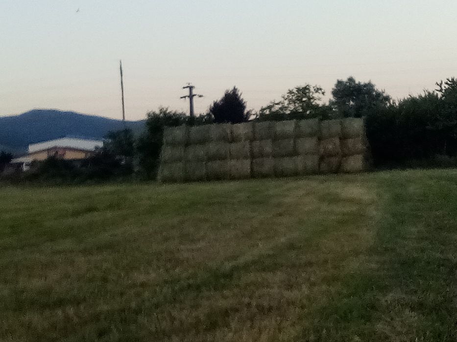 Vind baloti rotunzi fîn cu lucernă 1 Deva • OLX.ro