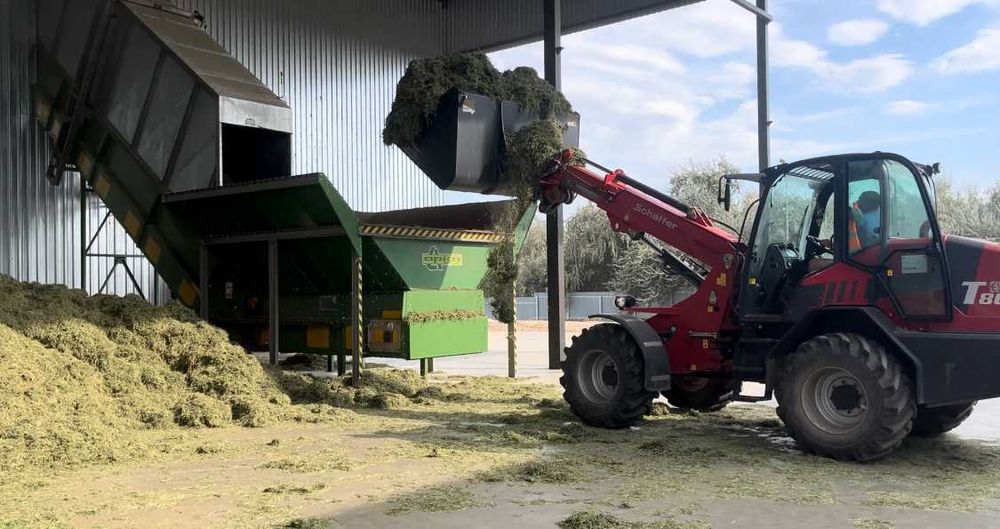 Baloti de lucerna premium, deshidratata, fara boli, praf, impuritati ...