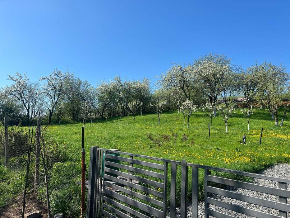 Proprietate de vanzare in sat Badeni comuna Moldovenesti Badeni • OLX.ro