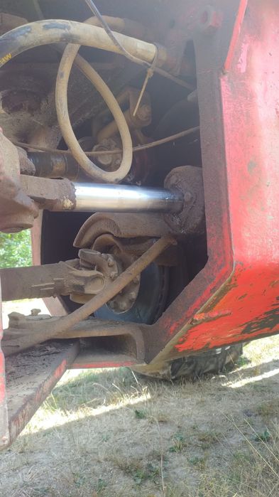 Vand taf forestier Branesti • OLX.ro