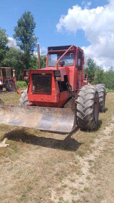 Vand taf forestier Branesti • OLX.ro