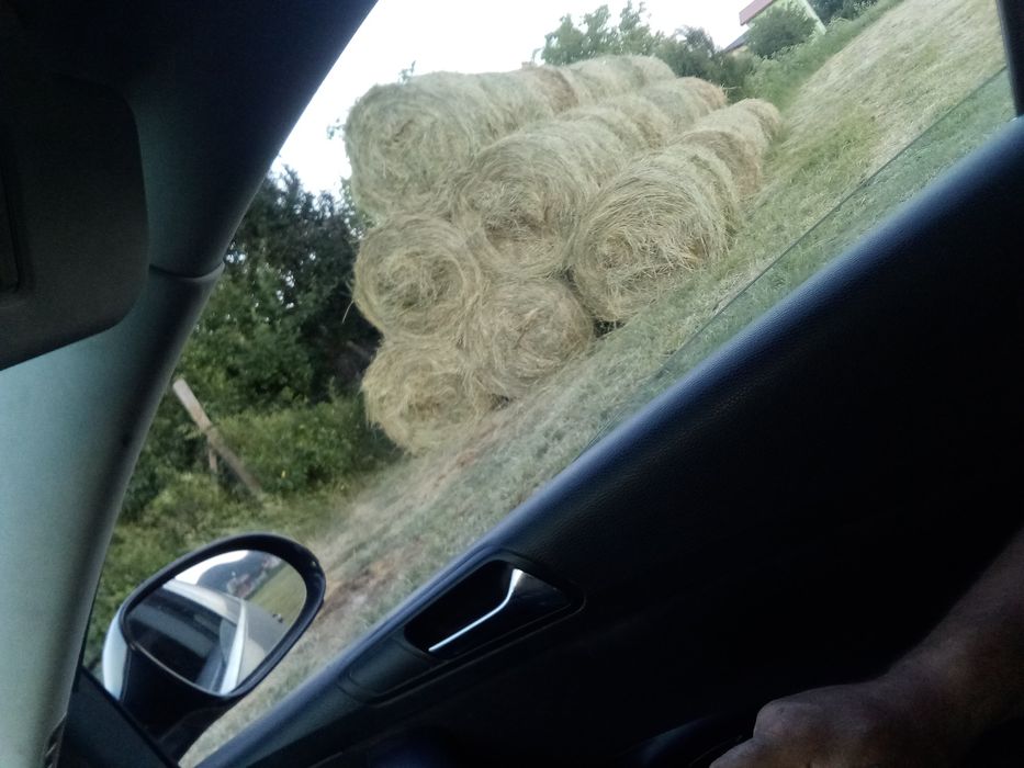 Vind baloti rotunzi fîn cu lucernă 1 Deva • OLX.ro