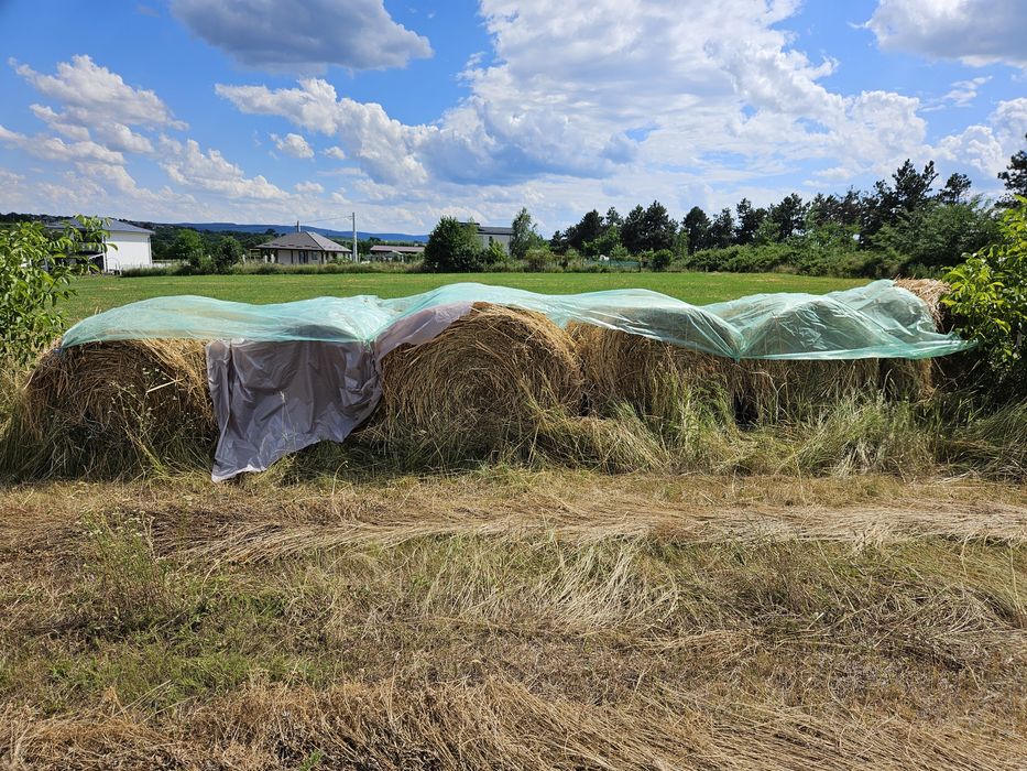 Vând baloti lucerna mari Hlincea Iasi Visan • OLX.ro