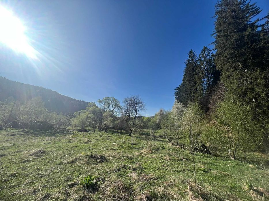 Teren intravilan Lepsa Lepsa • OLX.ro