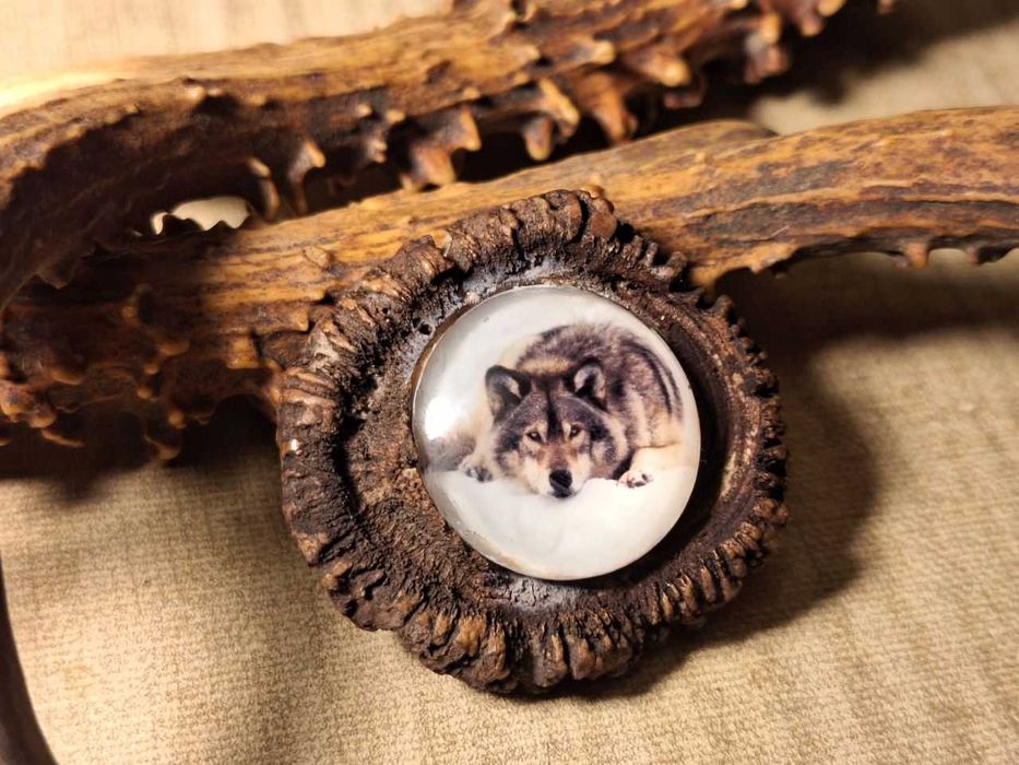 Idee de cadou ! Rozeta cerb cu medalion de lup ( caprior, urs ) Brasov ...