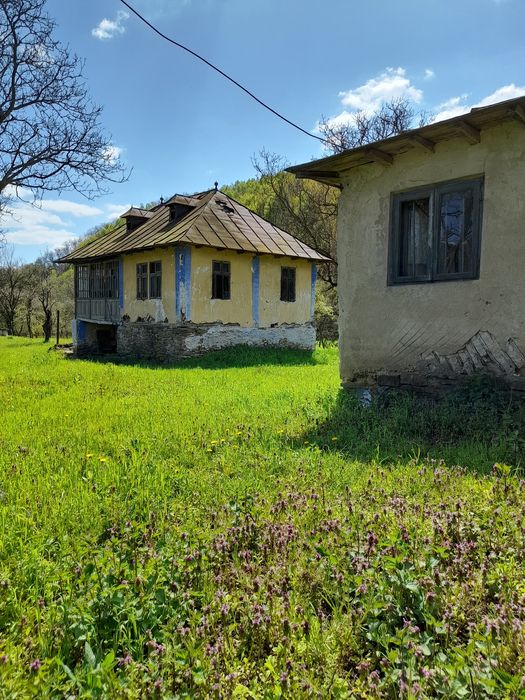 Casa bătrânească cu 5000 m² intravilan Aricestii Zeletin • OLX.ro