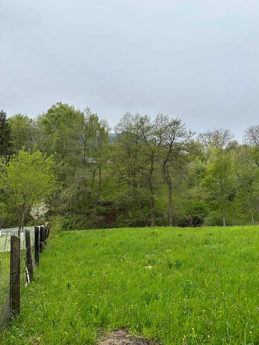 Teren Bran/Predelut Predelut • OLX.ro