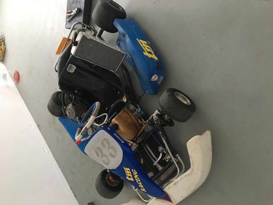 Картинг TM 125 K9 go kart гр. Петрич • OLX.bg