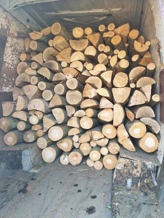 Vând lemne de foc blană de fag carpen.. Maierus • OLX.ro