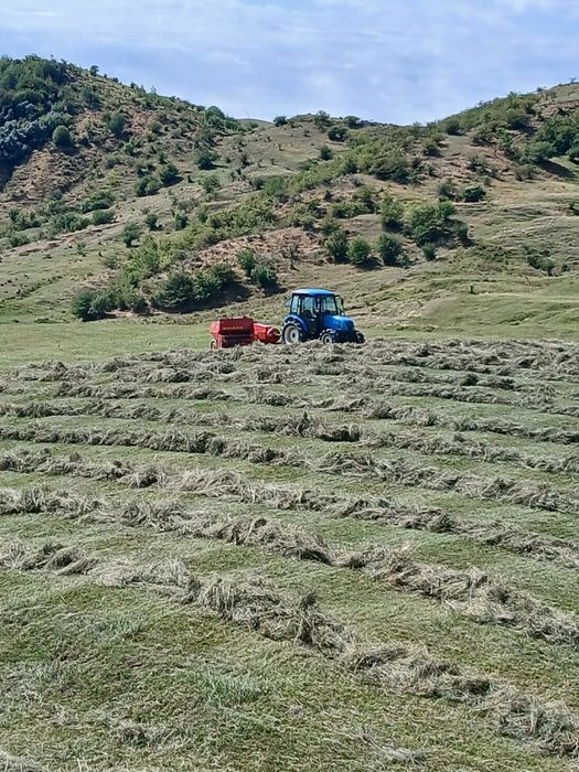 Baloti fân, iarbă calitate superioară Starchiojd • OLX.ro