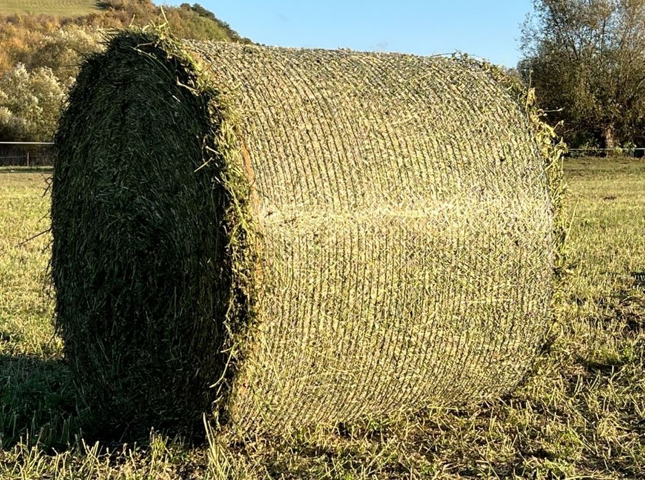 Vind baloti de lucerna infoliata si fan ! Mosnita Veche • OLX.ro