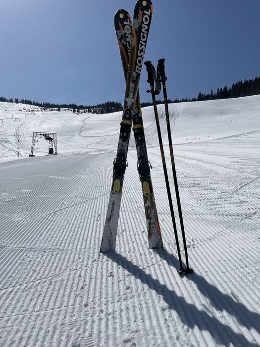 Schiuri de vanzare. Cormaia • OLX.ro