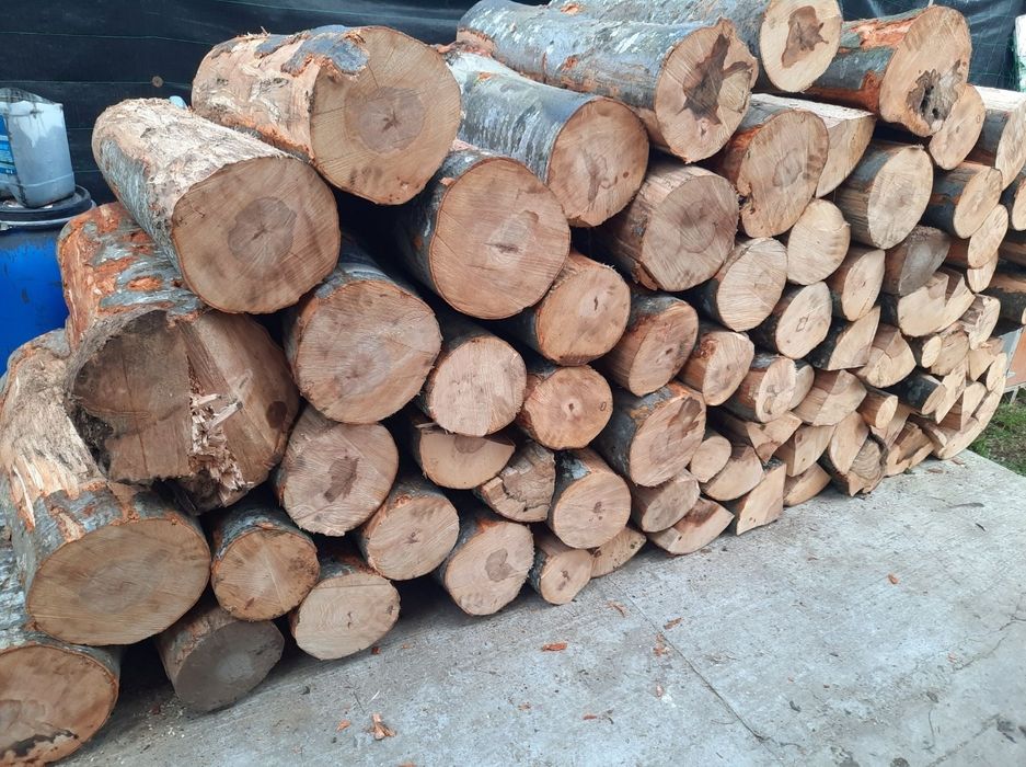 Lemn de fag super Campeni • OLX.ro