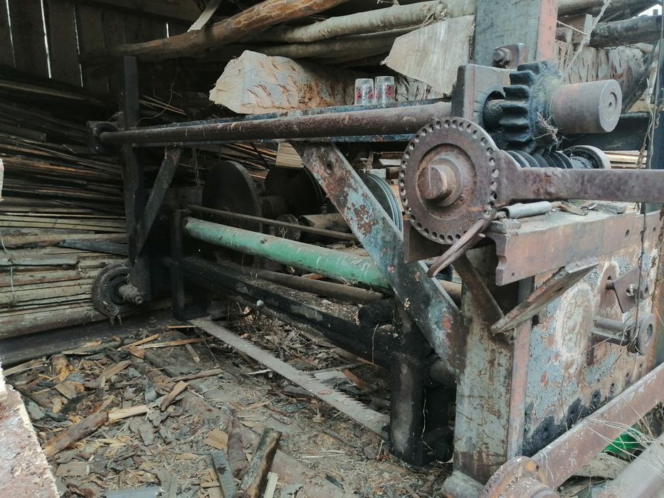 Holt gater cu o panza Frumosu • OLX.ro