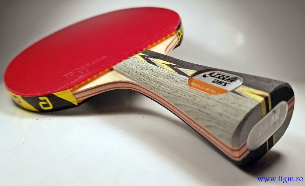 Paleta profesionala tenis de masa (ping pong) dhs/andro Craiova • OLX.ro
