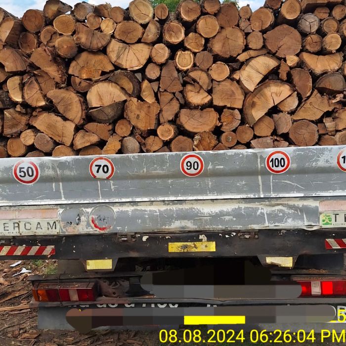 Lemne de foc pentru iarna 2024-2025 Caracal • OLX.ro