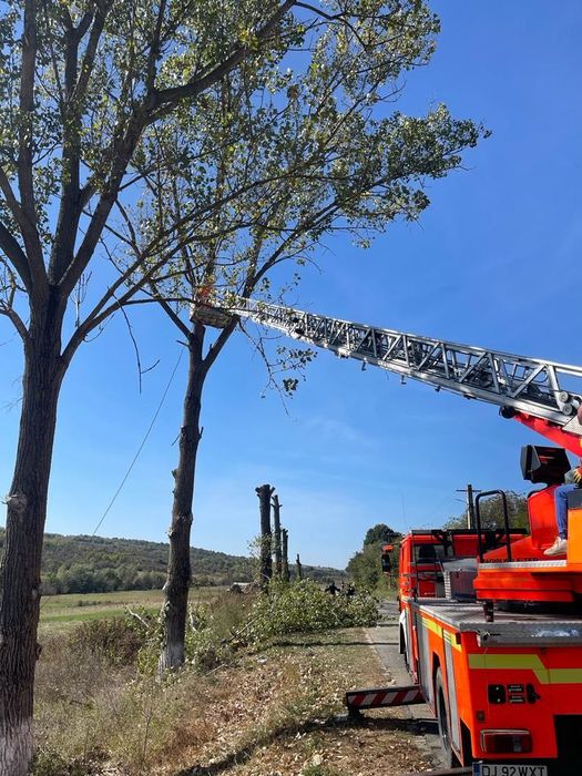 Toaletari și tăieri arbori / copaci periculoși cu Nacela 35m Craiova ...