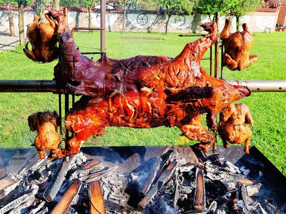 Protap rotisor porc vitel miel , nunti botezuri evenimente Constanta ...