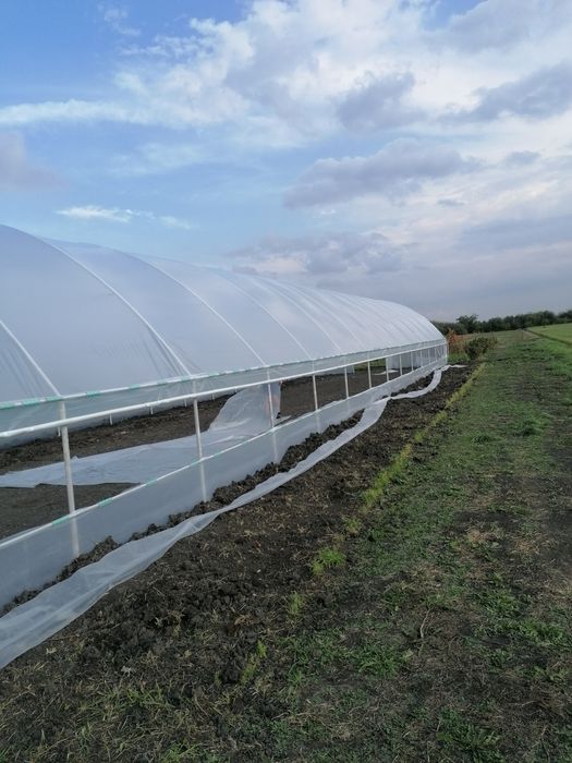 Sere solarii arcade cu montaj sau fara Hantesti • OLX.ro