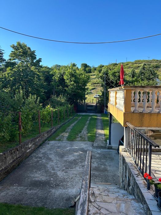 Dau in chirie casa la curte comuna Saldabagiu de Munte • OLX.ro