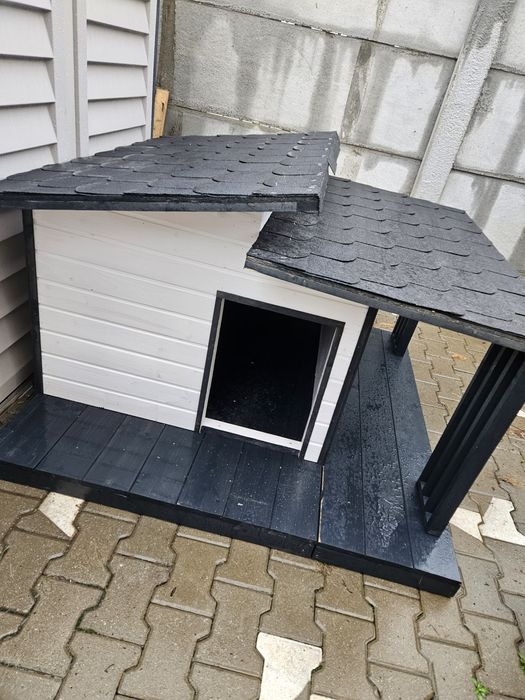 Cusca Caine Mare Bucuresti Sectorul 5 • OLX.ro