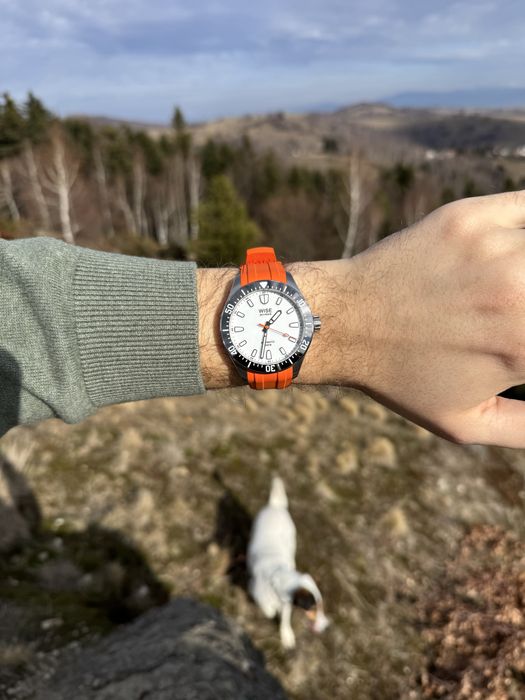 Ceas Wise Full lume 40mm Timisoara • OLX.ro