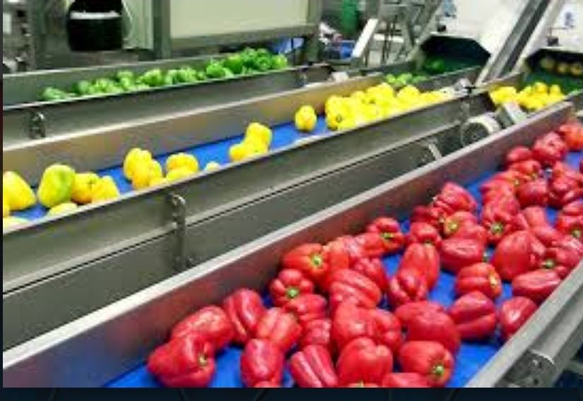 Транспортни ленти за хранително вкусова промишленост и други гр