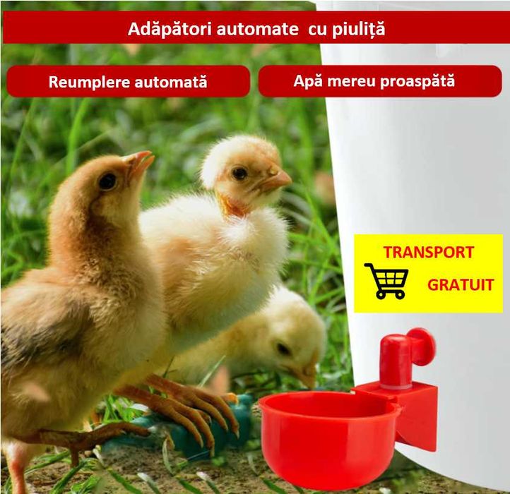 prepelite de vanzare ' Anunturi ' OLX.ro