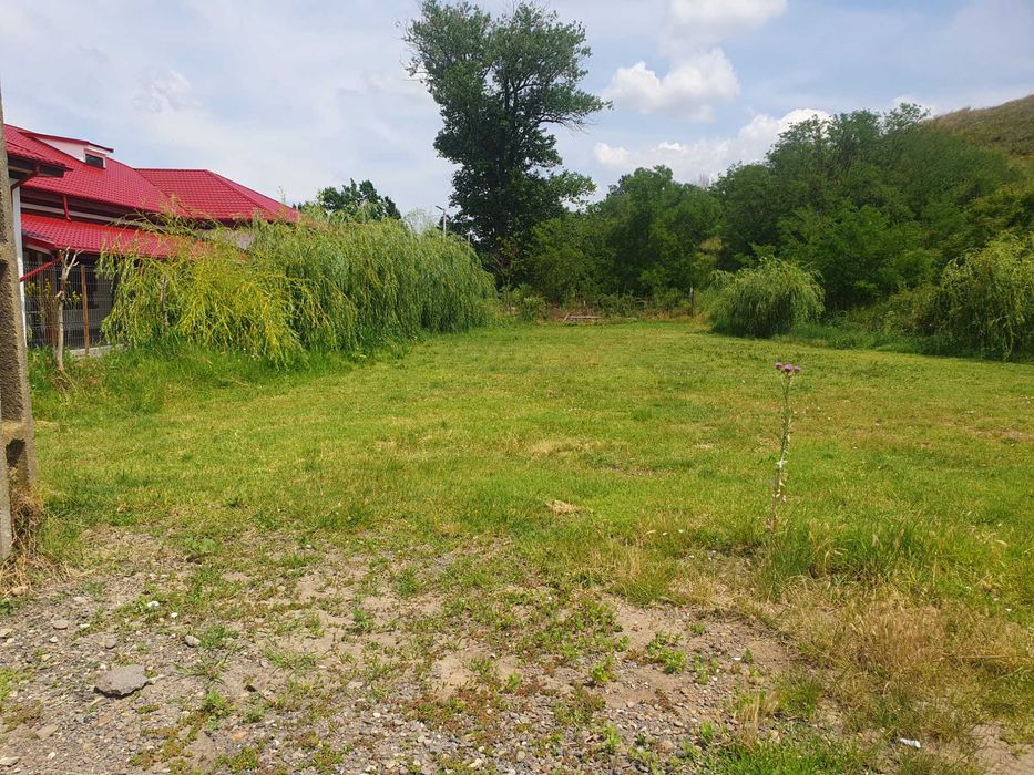 Vanzare teren 964 m2 Intravilan Muchea • OLX.ro