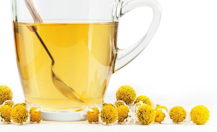 Seminte Musetel, Musetel Roman, Chamaemelum Nobile, Matricaria Nobile ...