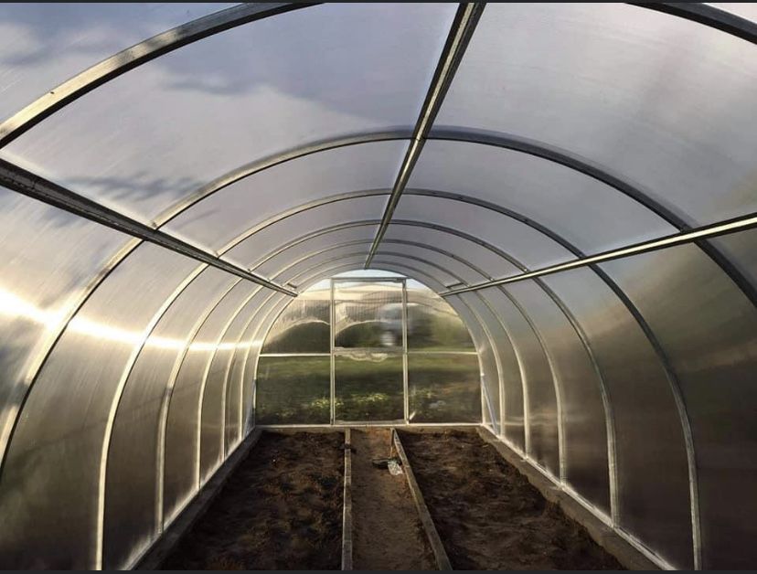 Sera policarbonat solar legume flori Alba Iulia • OLX.ro