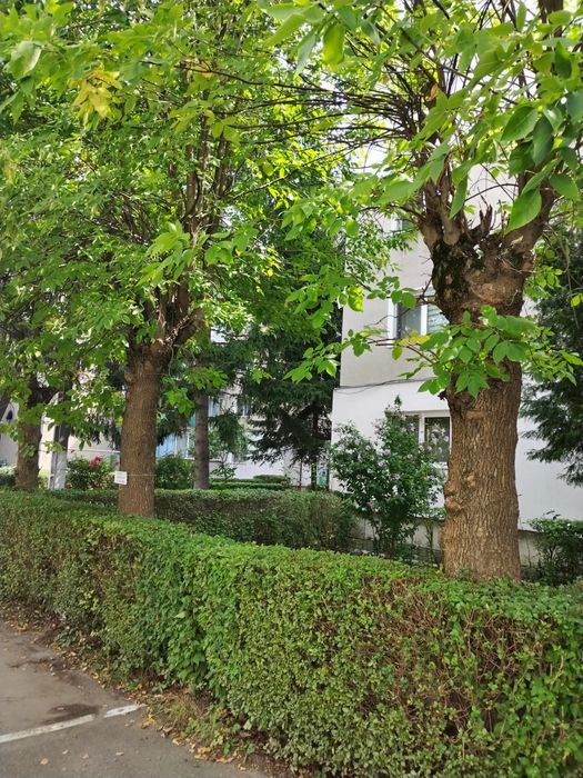 Proprietar Deva, 3 decomandate la vanzare in Gojdu, 76000 euro