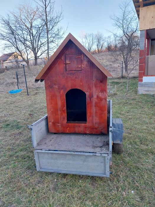 Cușcă câine talie mare. Bogdanesti • OLX.ro