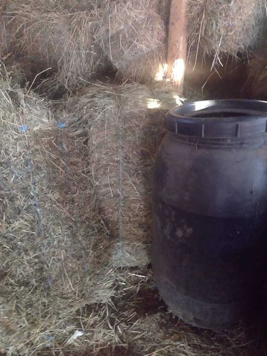 .Baloti lucerna . Rotunda • OLX.ro