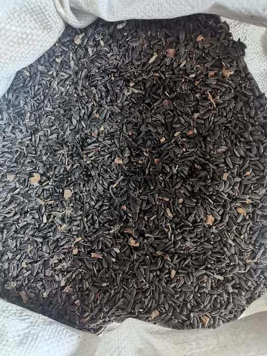 Floarea-soarelui baloti fan Baltatesti • OLX.ro