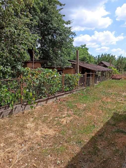 Casa + gradina in localitatea Baba Novac (oras Ardud) Satu Mare • OLX.ro