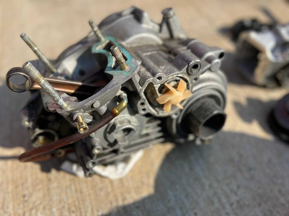 Картинг Crg DD2 Rotax 125 Dark Rider EVO 32 Cavalli гр. Враца Център • OLX.bg