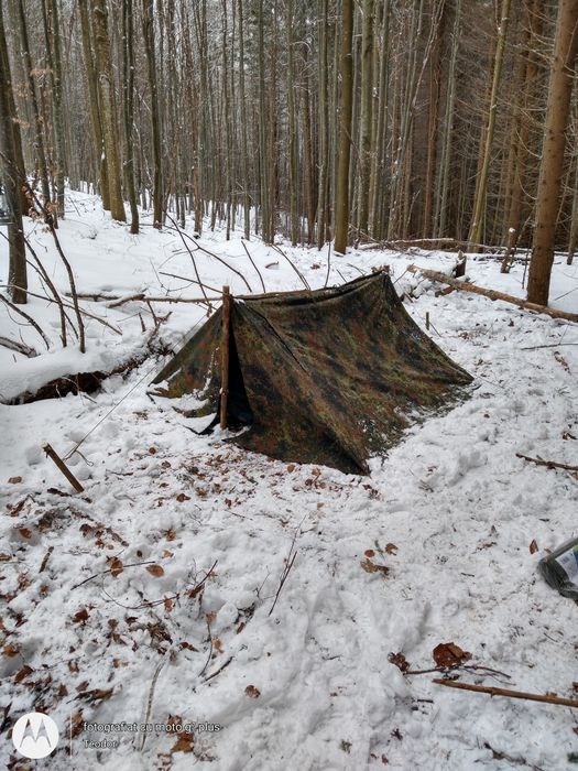 Cort militar German Campina • OLX.ro