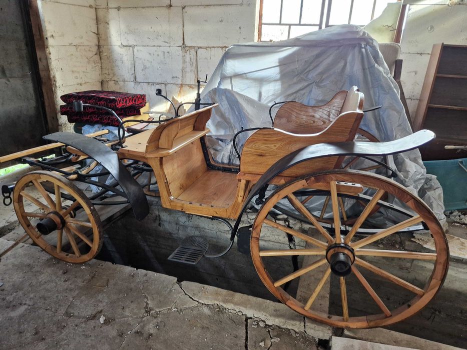 Trasura/caleasca ponei/cal Moldovita • OLX.ro